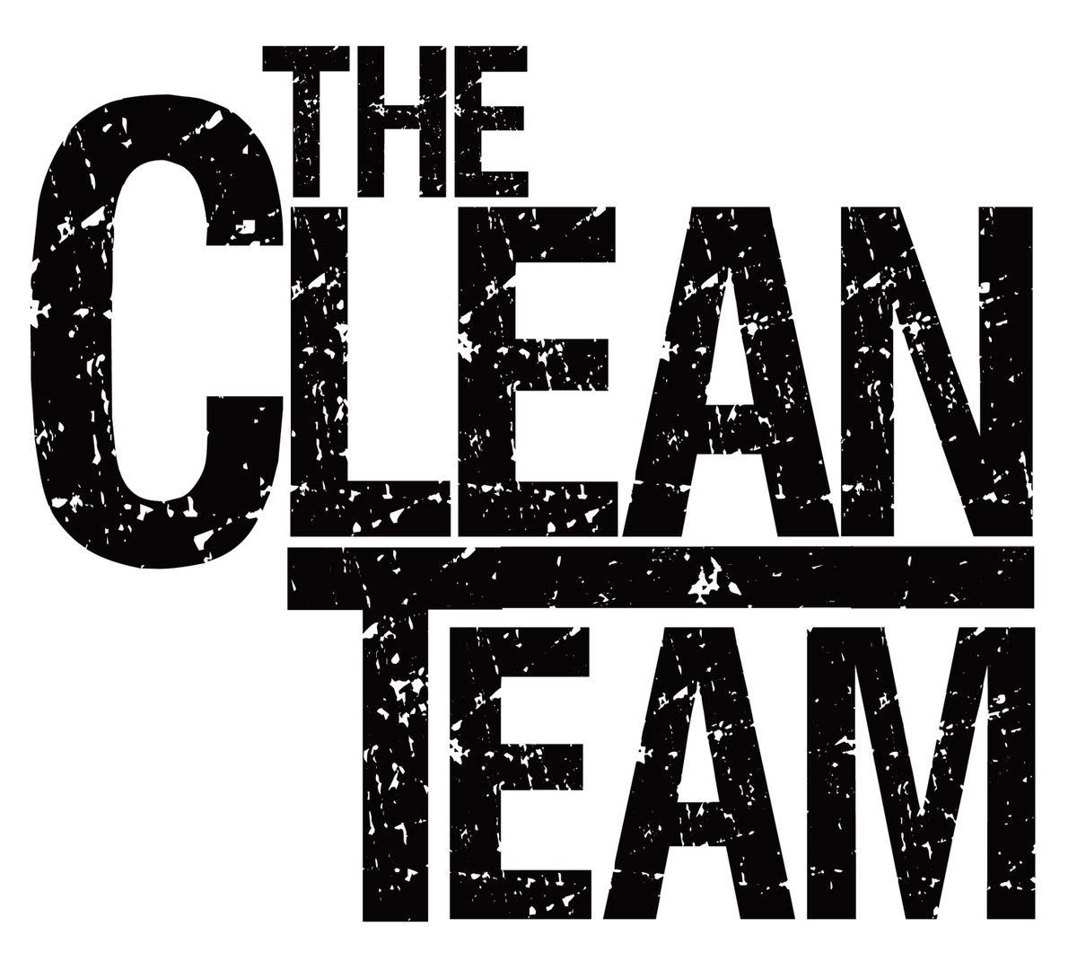 The Clean Team | The Clean Team