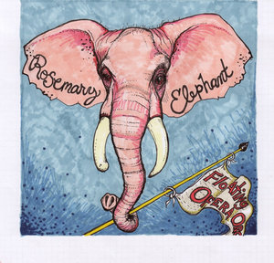 Music | The Floating Opera Orchestra