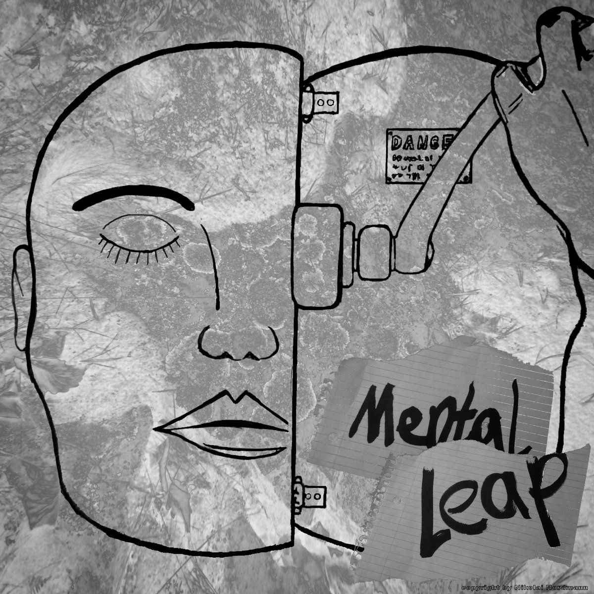 Mental Leap - Acoustic | Mental Leap