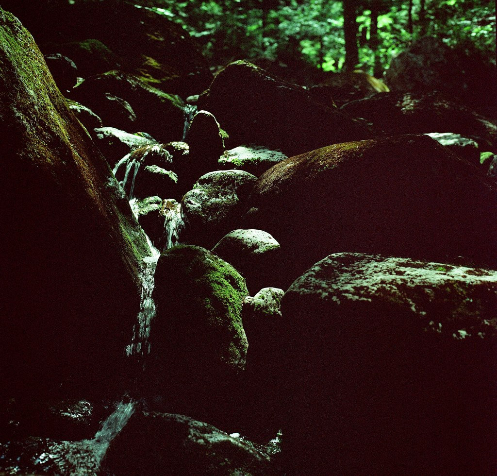 living Room | Good Reputation Sleeping