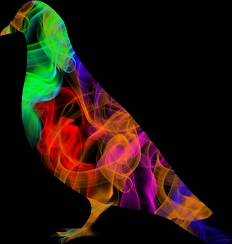 Baby Steps | DJ Pigeon