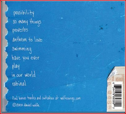 The Blue Book | Daniel Wolfe