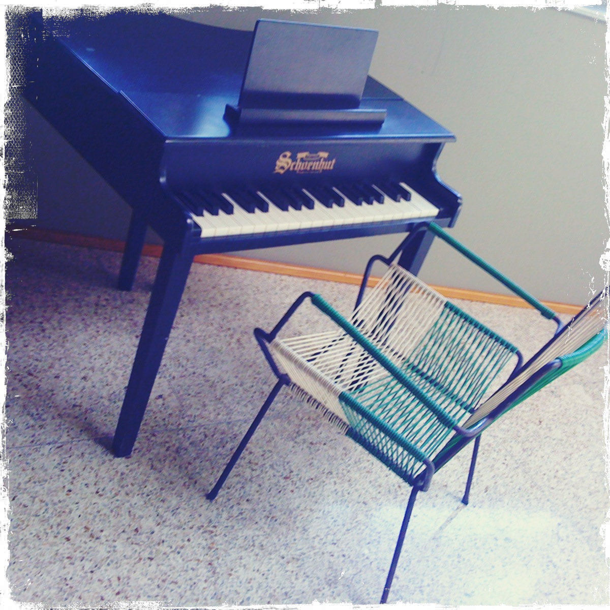 The Family Album | Jessica Ripka