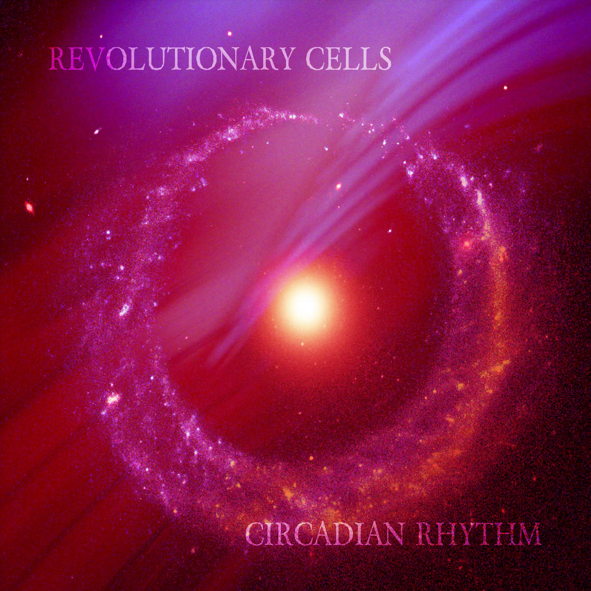 Circadian Rhythm | Revolutionary Cells