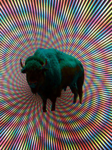 Music | Psychedelic Buffalo