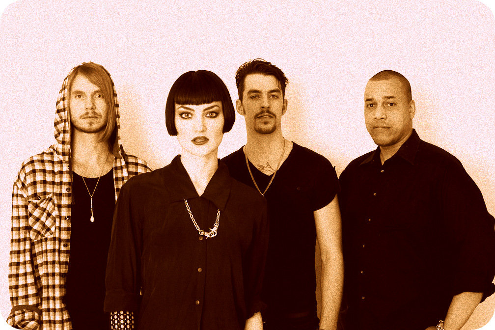 The Never Evers | the Never Evers