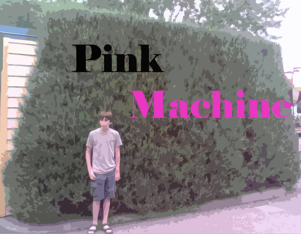Epic Walrus | Pink Machine