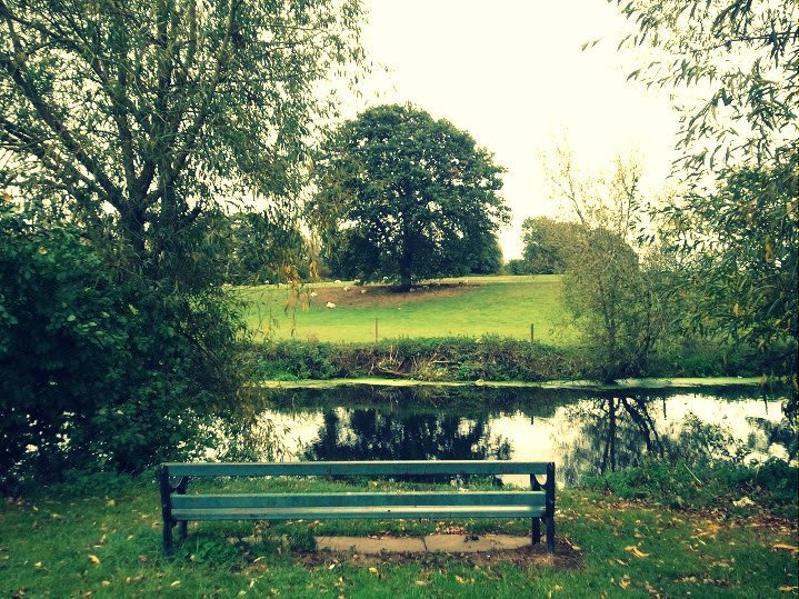 Parable Restate | hamden way