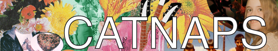 Kitten and Bear | CATNAPS