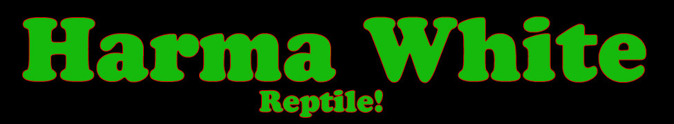 BLINDERS | Harma White