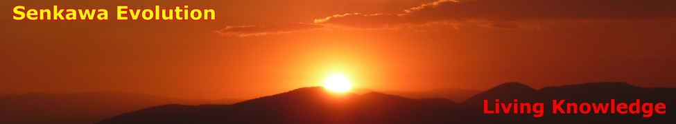 2025 | Senkawa
