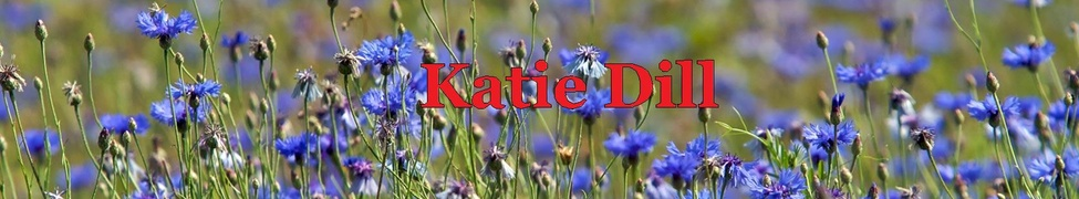 I Can Still Feel Everything | Katie Dill