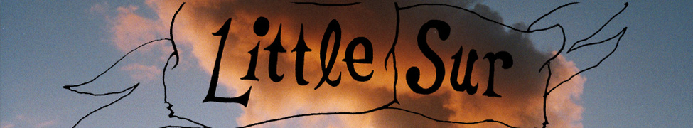 Little Sur EP | Little Sur