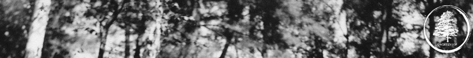 Music | qwertzuiop