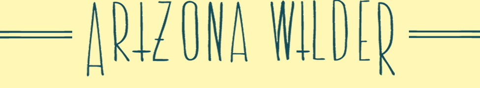 Dando | Arizona Wilder