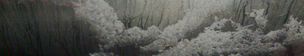 Music | Bridget Hayden