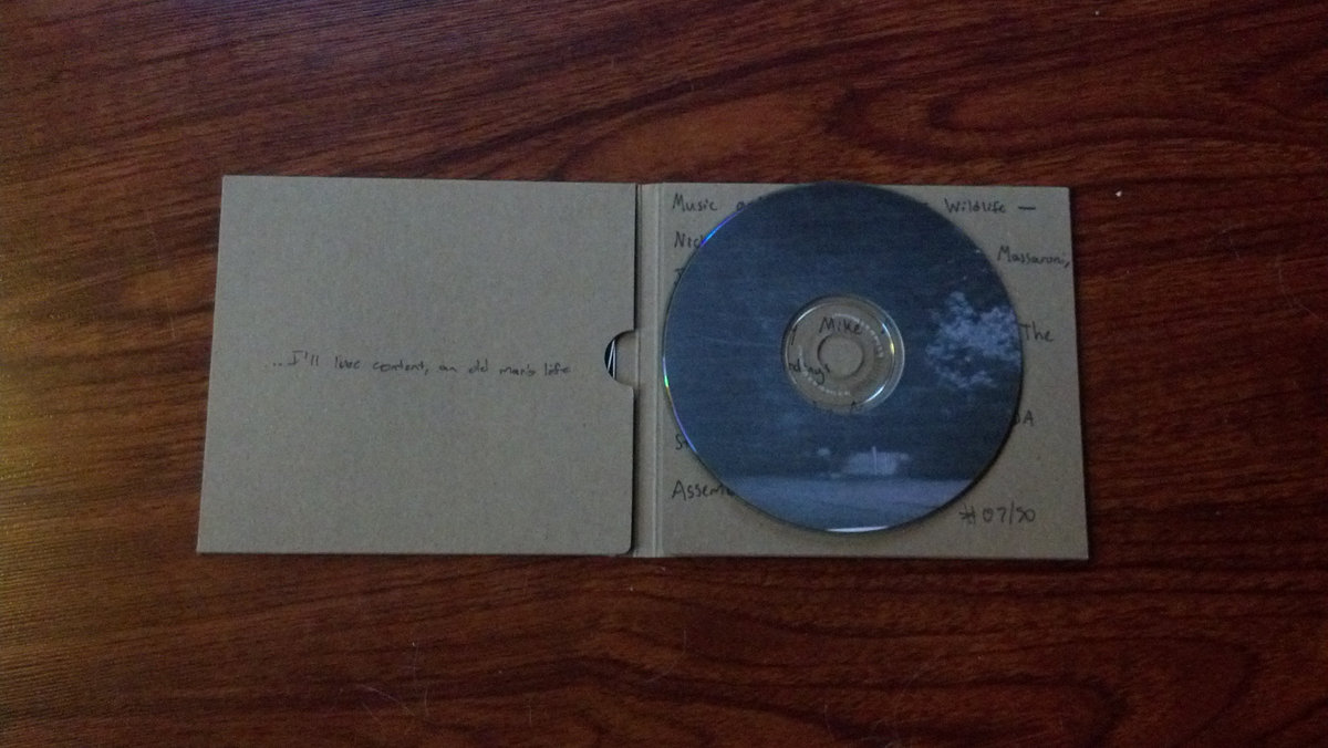 American Mischief | Native Wildlife