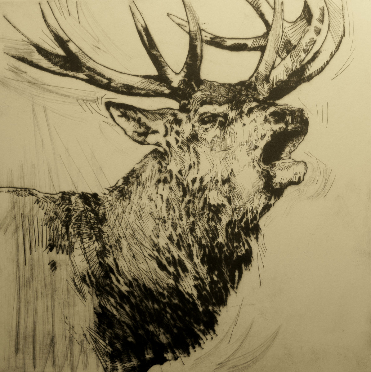 Zak Ford | EP | Zak Ford