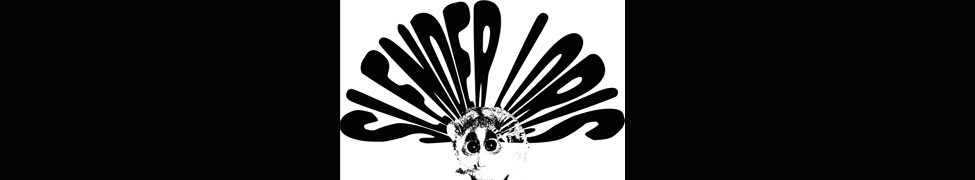 World Tour | Slender Loris