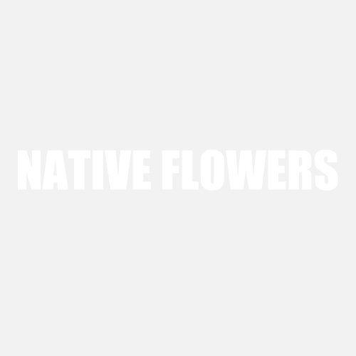 L A T E | Modern Disbeliefs | native flowers