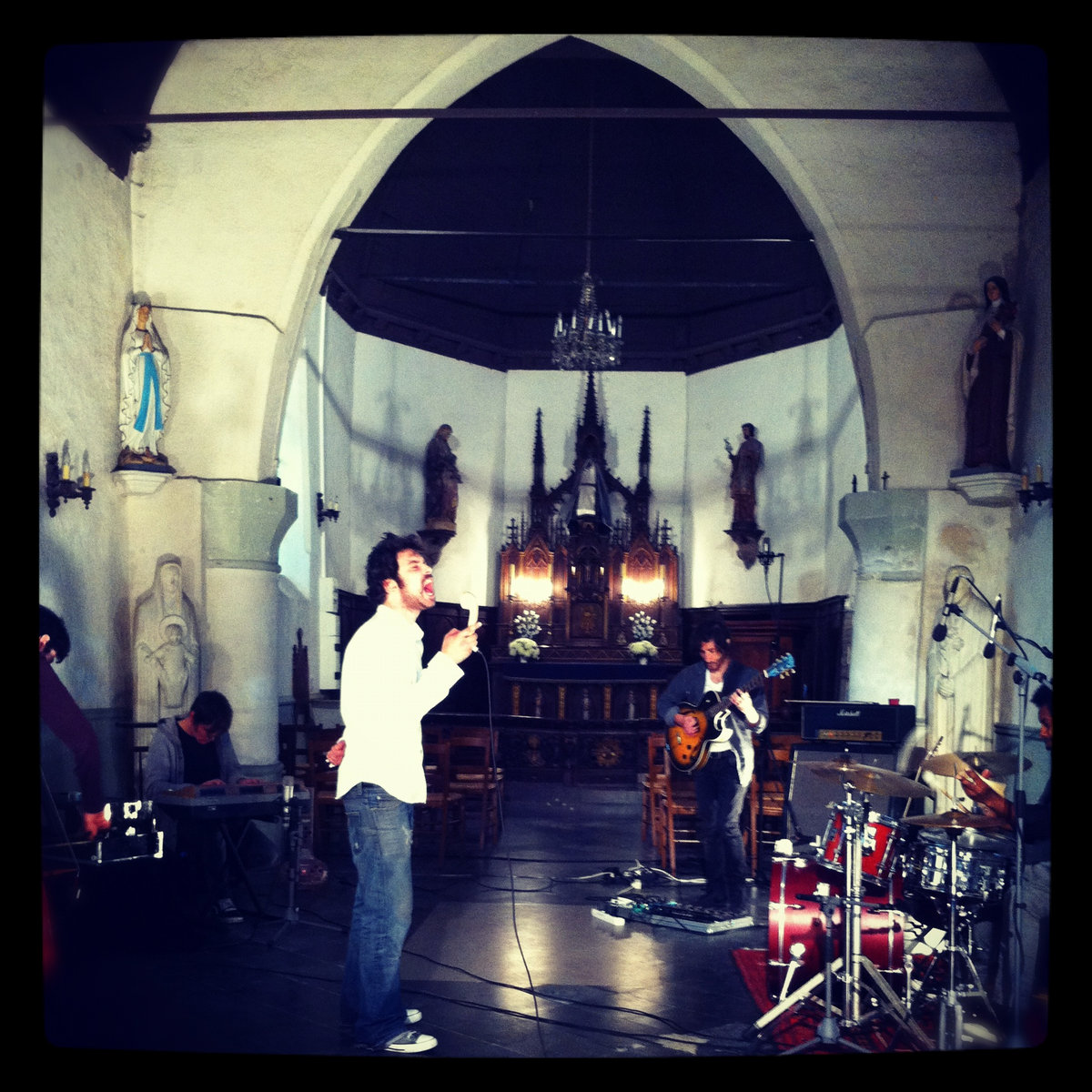 persian rabbit. | persian rabbit.