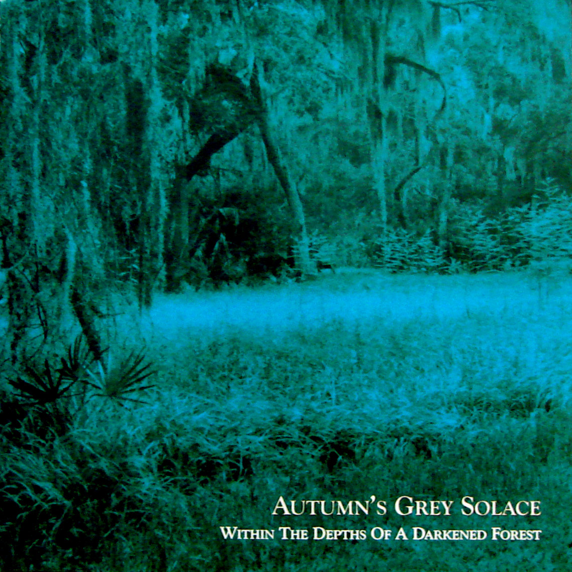 Within The Depths Of A Darkened Forest | Autumn's Grey Solace