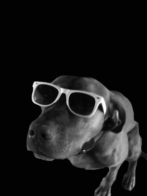 riverside | Francesco Tarallo