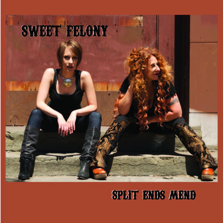 Split Ends Mend - CD | Sweet Felony