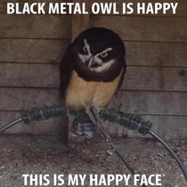 gavin's collection | Bandcamp