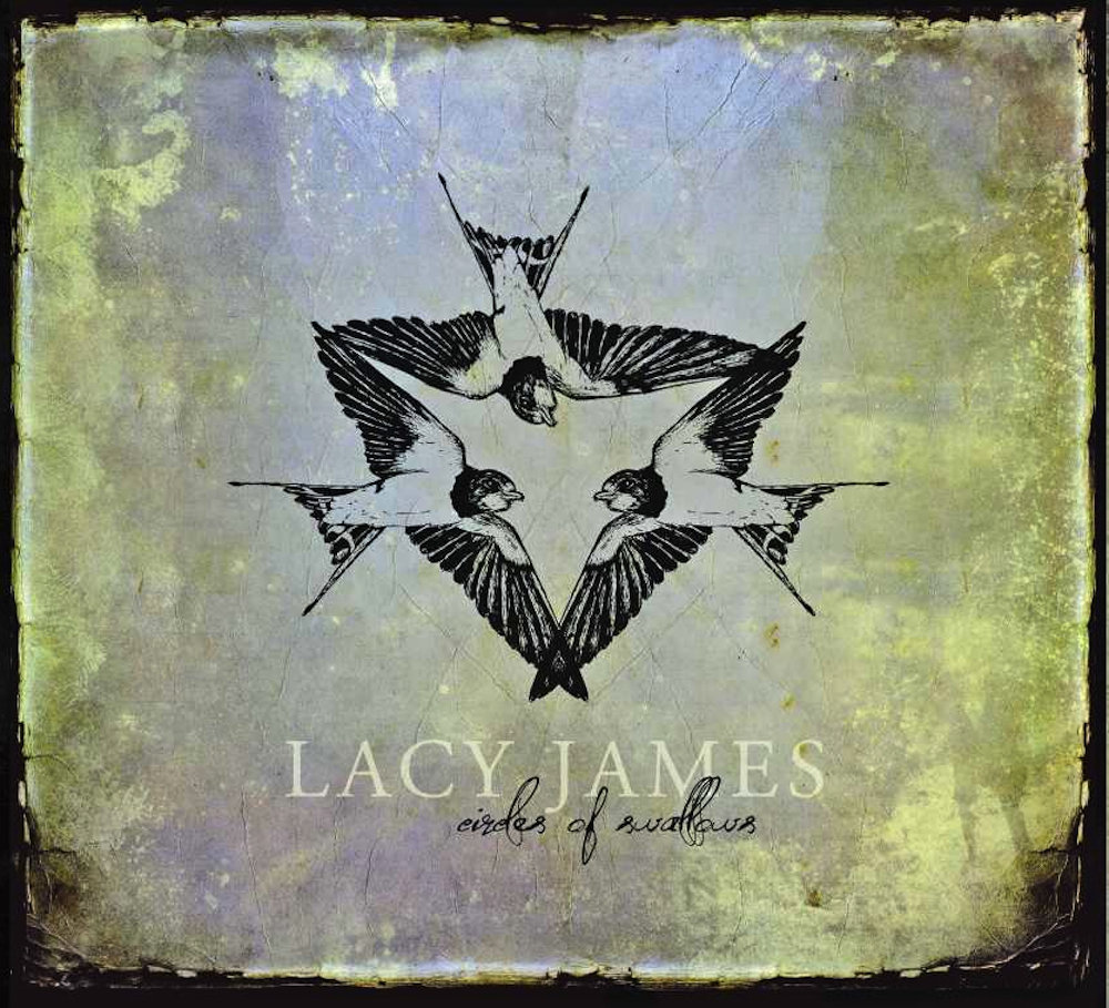 Circles of Swallows | Lacy James