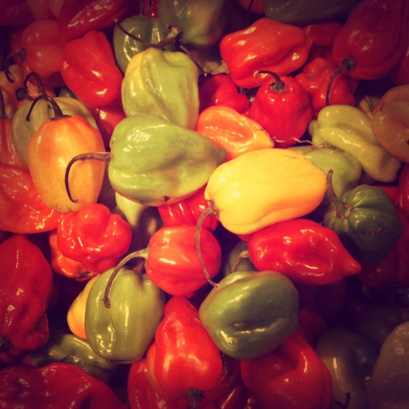 From the road EP | Mr Effervescing