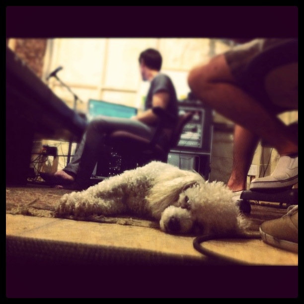 WITH FLYLEAF/JAMES'S BARN STUDIO | Mark Troth Lewis