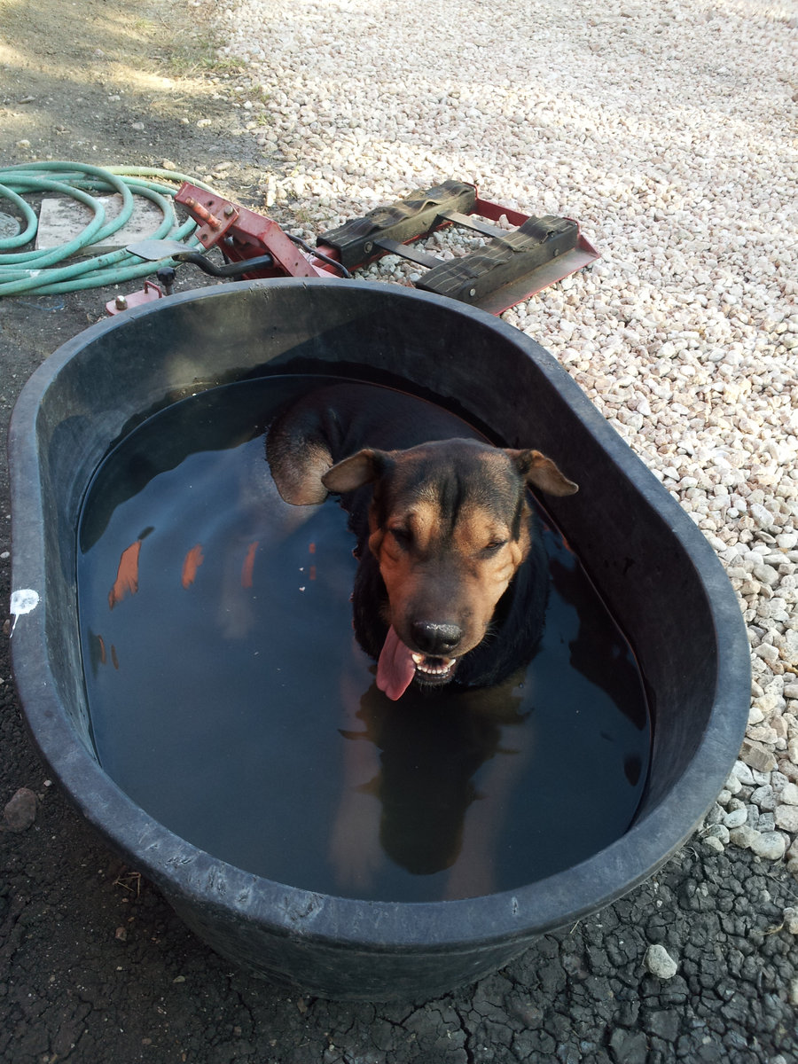 WITH FLYLEAF/JAMES'S BARN STUDIO | Mark Troth Lewis