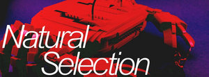 Music | Natural Selection