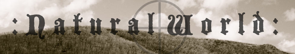 Music | Natural World Records