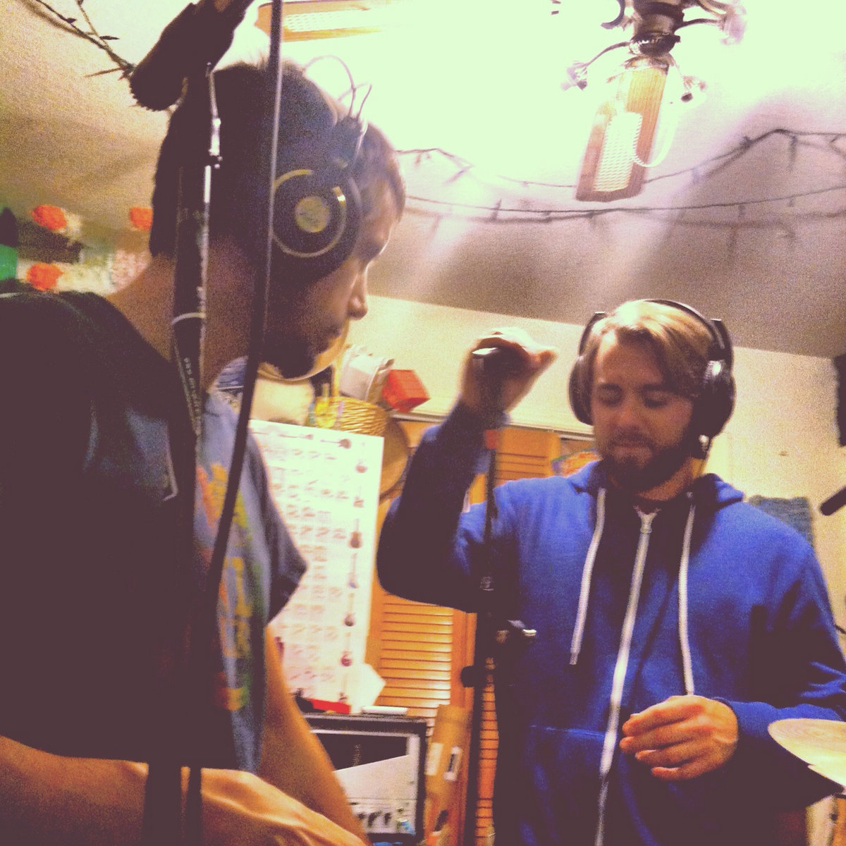 The Neets | The Neets