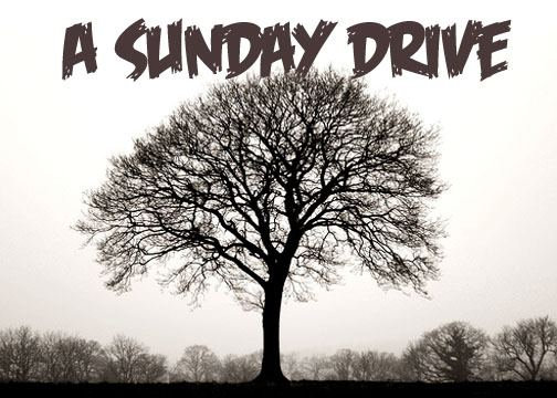 Turn Around | A Sunday Drive