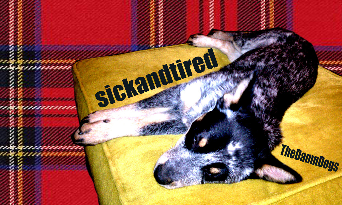 sickandtired | The Damn Dogs