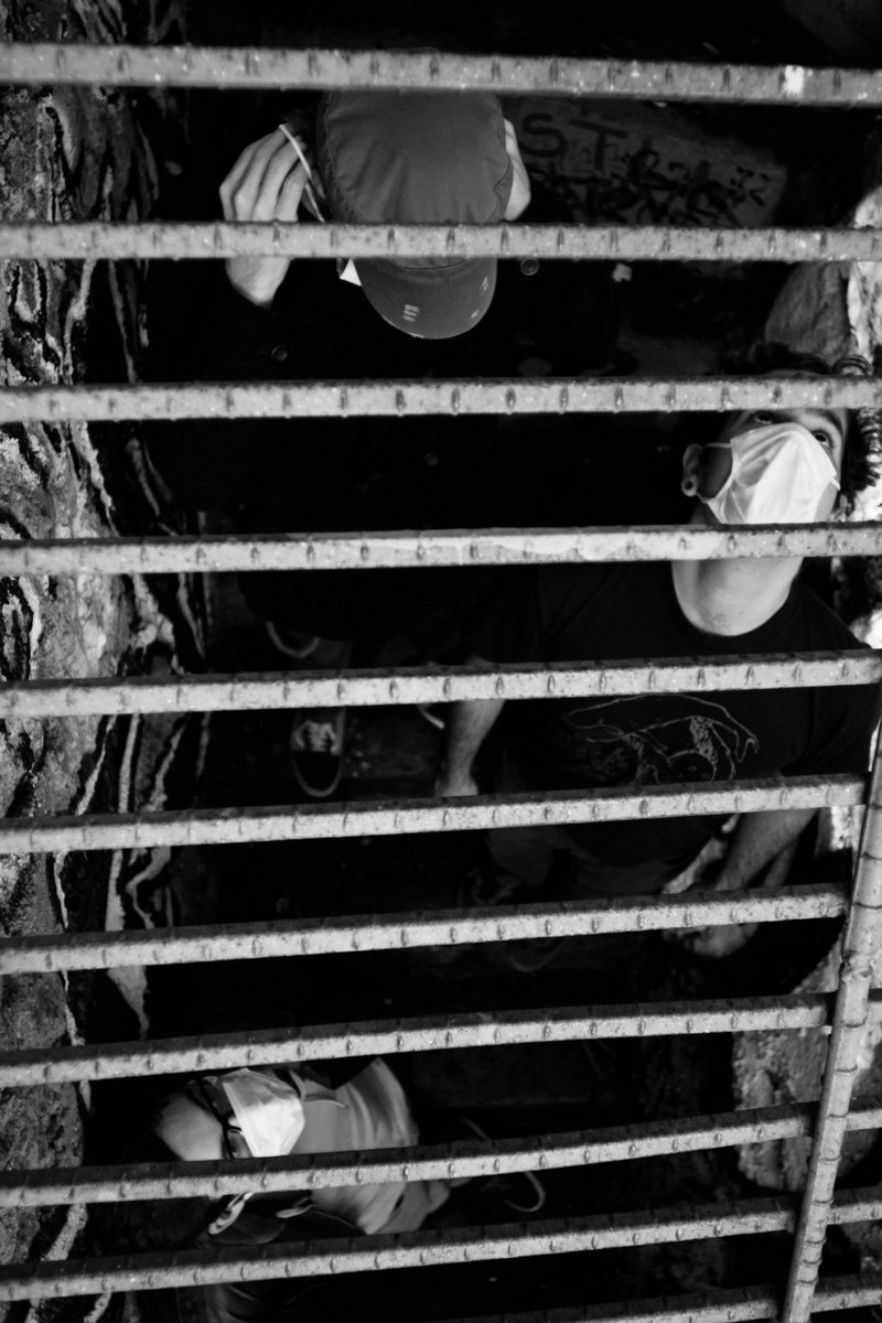 Coma Tree | The Face