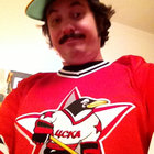 Music For Cats | cEvin Key