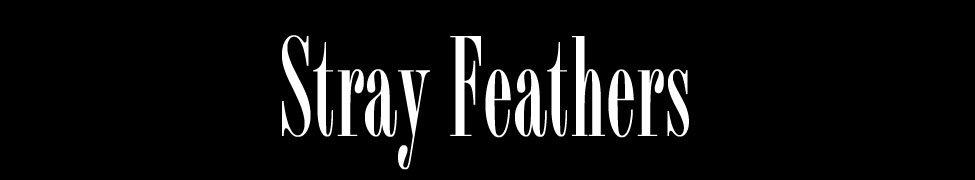 Self Titled | Stray Feathers