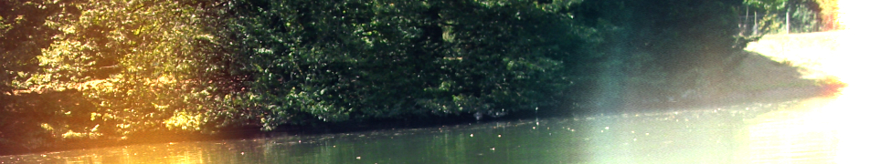 To Make Ends Meet | Stray Ghost // Anthony Baden Saggers