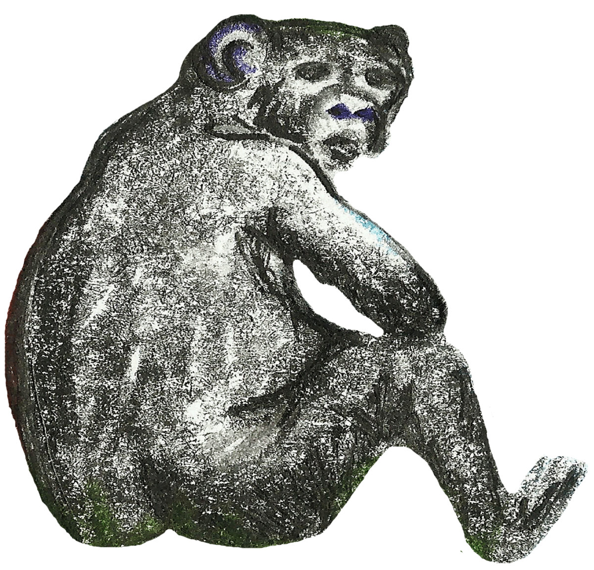 An Old Monkey | erytheia | Erytheia