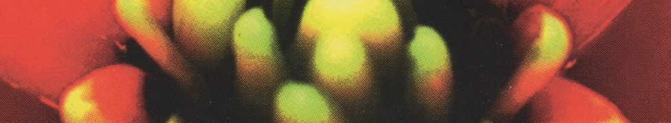 Blinking Things | Blinking Things | Map Music