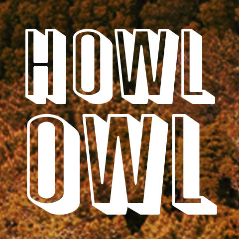 Got a new job | Howl Owl