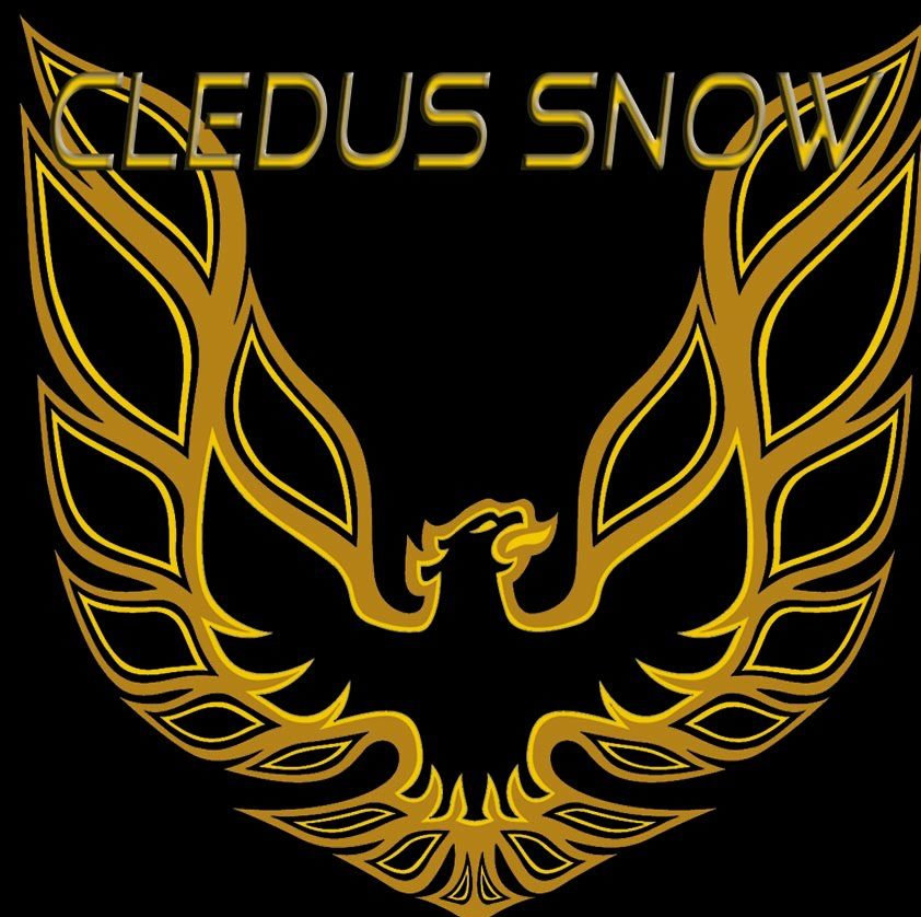 Dang! I Did it Again! (Another Demo) | Cledus Snow