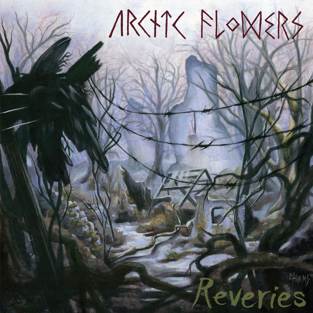 Reveries | Arctic Flowers
