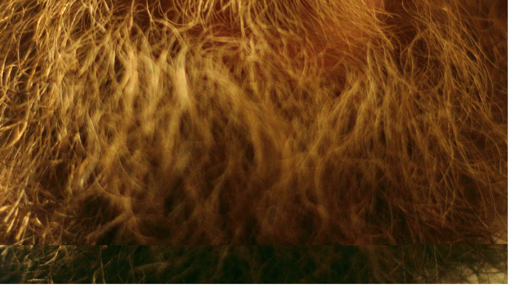 harryclapham's collection | Bandcamp