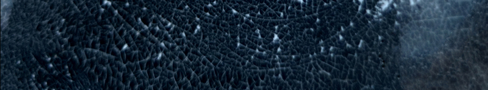 The Castle At Cöthen | Matthew Swiezynski | invisible birds