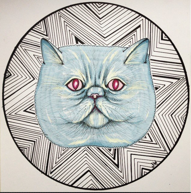 PU$$Y PALACE | Anaye